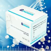 China 384 Well Covid 19 PCR Test Herd Screening Saliva Antigen Test Kit for sale
