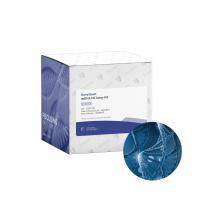 China CE Qubit Dsdna HS Assay Kits NGS QPCR Library Quantification Kit for sale