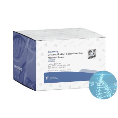 China CE Certified DNA Clean & Fragment Selection Beads for Genetic Diagnostic with PCR Product for Genotyping (SNP Detection) for sale
