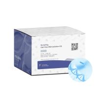 China 25 Tests Circulating Dna Isolation Kit Targeted Drug Prognosis for sale