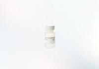 China BunnyTeeth Proteinase K Solution for PCR for sale