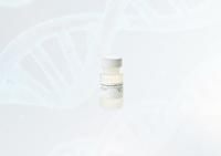 China High Enzymatic Activity Proteinase K Solution for RNA/DNA Extraction Kits for sale
