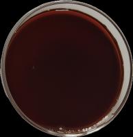 China Highly Active Feather Amino Acid Liquid Fertilizer with 220 g/L Free Amino Acids and 86.65 g/L Total Nitrogen for Agriculture and Aquaculture for sale