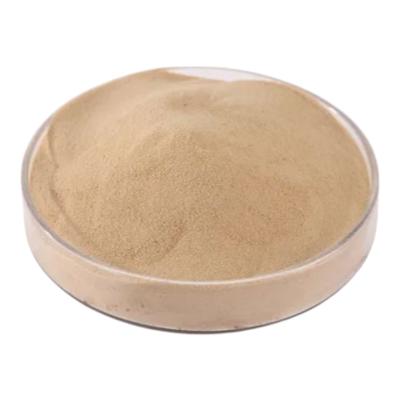 China Animal Feed Amino Acid Powder - 45.1% Total Amino Acids, Fully Water Soluble for Agriculture & Aquaculture for sale