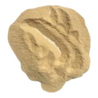 China Fully Soluble Yeast Cell Wall Fertilizer with 20% β-Glucan and 35% Crude Protein for Agriculture and Aquaculture for sale