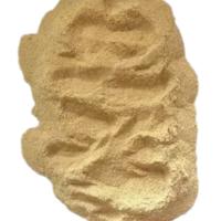 China Fully Soluble Yeast Cell Wall Fertilizer with 20% β-Glucan and 35% Crude Protein for Agriculture and Aquaculture for sale