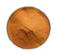 China Fast Dissolving BIO Fulvic Acid Powder 98% with 30% Humic Acid and 16% Nitrogen for Agriculture and Aquaculture for sale