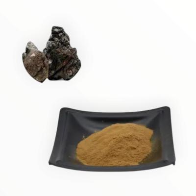 China Biochemical Potassium Fulvate Powder 28% Fulvic Acid Water Soluble Organic Fertilizer for Agriculture for sale