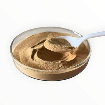 China Amino Acid Protein Powder Agriculture Animal Organic Fertilizer 90% Purity 200 Mesh for sale