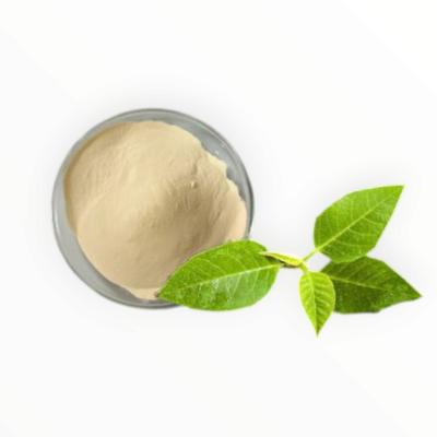 China Amino Acid Powder 40-45% High Nitrogen Organic Fertilizer for Crops Disease Resistance for sale