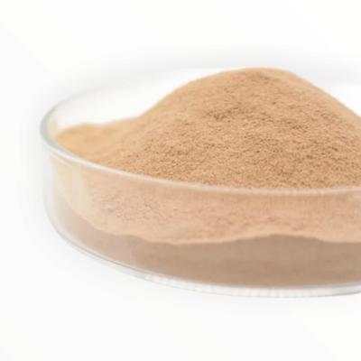 China Animal Source Amino Acid Powder Organic Fertilizer 35-40% Total Amino Acid 200 Mesh for Agriculture for sale