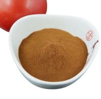 China Biochemical Potassium Fulvate Powder 30% Fulvic Acid Organic Soil Conditioner for Agriculture for sale