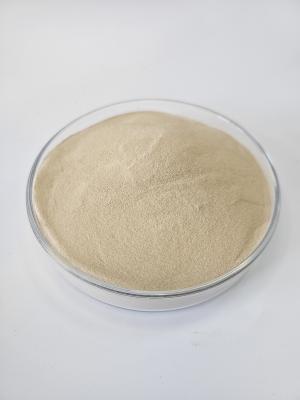 China Amino Acid Powder 20% Total Amino Acids 200 Mesh for Feed and Agriculture for sale