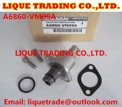 China Overhaul Kits 294200-0360 294009-0250 for Mitsubishi 1460A037 Nissan A6860-VM09A for sale