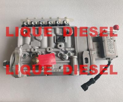 China BYC CPES6P120D120RS 5318046 10 404 534 005 Industrial Pump 120V 120W for sale