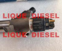 China BOSCH Common Rail Injector 0445120213 for WEICHAI WD10 612600080611 0 445 120 213 for sale