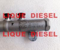China Genuine Common Rail 31400-4A900 A5590 for Hyundai Kia 314004A900 Diesel Fuel Rail for sale