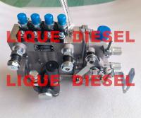 China Diesel Fuel Pump BH4QT95R9 Kangda Pump Genuine New 12V for Industrial Engines for sale