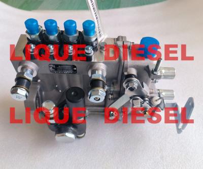China Diesel Fuel Pump BH4QT95R9 Kangda Pump Genuine New 12V for Industrial Engines for sale