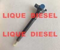 China DENSO Common Rail Injector 295700-0290 33800-4A950 for HYUNDAI D4CB VGT Euro 6 170PS for sale