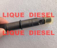 China BOSCH Common Rail Injector 0432193450 02113547 Genuine Diesel Fuel Injector for sale