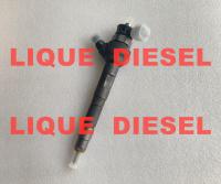 China Bosch Common Rail Injector 0445110738 1042210FE010 Brand New Genuine for sale