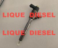 China BOSCH Common Rail Injector 0445110291 1112010-55D for BAW Fenix FAW LD Truck 3.0 D for sale