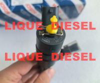 China BOSCH Common Rail Injector 0445110561 0445110560 Genuine New for HYUNDAI KIA for sale