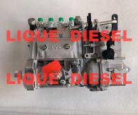 China Common Rail Fuel Pump 5342393 10400864080 CPES4A95D320/3RS2162 10 400 864 080 for sale