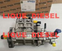 China Caterpillar CAT Common Rail Fuel Pump 317-8021 Perkins 2641A312 3178021 for sale
