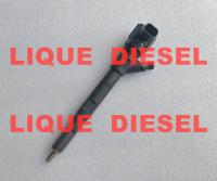 China BOSCH Fuel Injector 0445110279 33800-4A000 for Hyundai Starex 2.5L CRDi 103kW for sale
