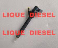 China BOSCH Common Rail Fuel Injector 0445110255 0445110256 33800-2A400 for Hyundai KIA for sale