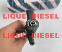 China BOSCH Common Rail Fuel Injector 0445110255 0445110256 33800-2A400 for Hyundai KIA for sale