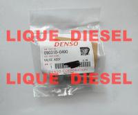 China DENSO Valve Assy 090310-0490 Genuine OEM New Replacement for Automotive AC Systems for sale