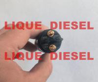 China BOSCH 0445120197 51101006123 Common Rail Fuel Injector Assembly for MAN Genuine New for sale