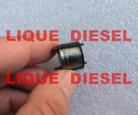 China Genuine Nozzle CVA Kit 7135-576 with Nozzle 375 and Valve 28346624 for Industrial Use for sale