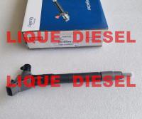 China Genuine Common Rail Injector 295900-0260 DCRI200260 SH01-13-H50 Brand New for sale