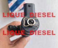 China Genuine Common Rail Fuel Injector 0445110274 0445110275 33800-4A500 for Hyundai Kia for sale