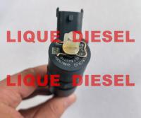 China Genuine Fuel Injector 0445110457 5801470098 0 445 110 457 445110457 for sale