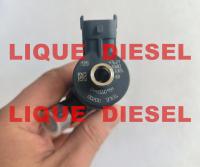 China Genuine Common Rail Fuel Injector 0445110955 0445110954 9828959880 New for sale