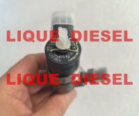 China Genuine Common Rail Fuel Injector 0445111079 0 445 111 079 for Diesel Engines for sale