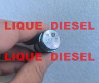 China Genuine Pressure Relief Valve 1110010024 1 110 010 024 for sale