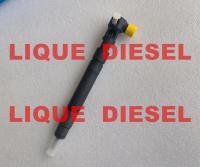 China Genuine Common Rail Injector EMBR00301D A6710170121 12V Diesel Fuel Injector for sale