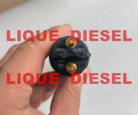 China Common Rail Fuel Injector 0445120045 0 445 120 045 Genuine New 12V for sale