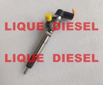 China Common Rail Fuel Injector A2C59513484 166008052R 166004305R New Genuine for sale