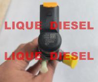 China Common Rail Fuel Injector A2C59513484 166008052R 166004305R New Genuine for sale