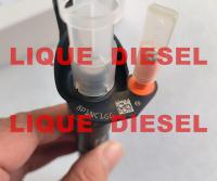 China Common Rail Fuel Injector 0445116059 0445116019 0 445 116 059 for 580540211 504385557 for sale