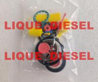 China CP4 Pump Repair Kit Overhaul Kit for 0445010507 0445010543 0445010546 Genuine New for sale