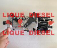 China Common Rail Fuel Pump 3062F075 3062F074 3062F073 3062F072 3062F071 3062F070 12V for sale