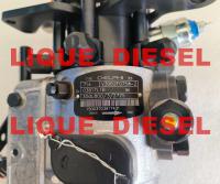 China Common Rail Fuel Pump 3062F075 3062F074 3062F073 3062F072 3062F071 3062F070 12V for sale